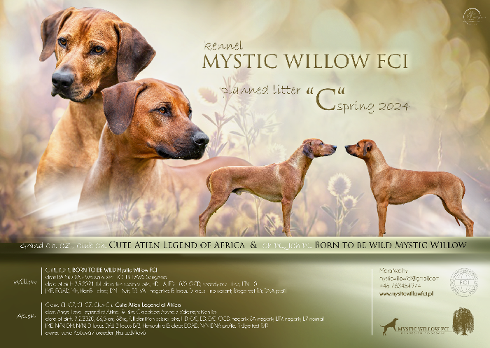 Willow & Atien :: rr-atien